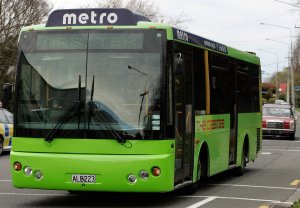 New Zealand Bus Skins | BeamNG